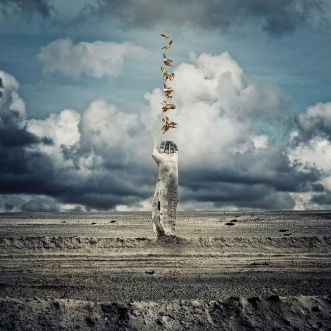 Featured Member - Kelly Barker | Pro Photography WA